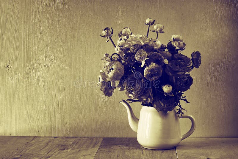 Photo of Flower. Black and White Old Style Photo Stock Image - Image of ...