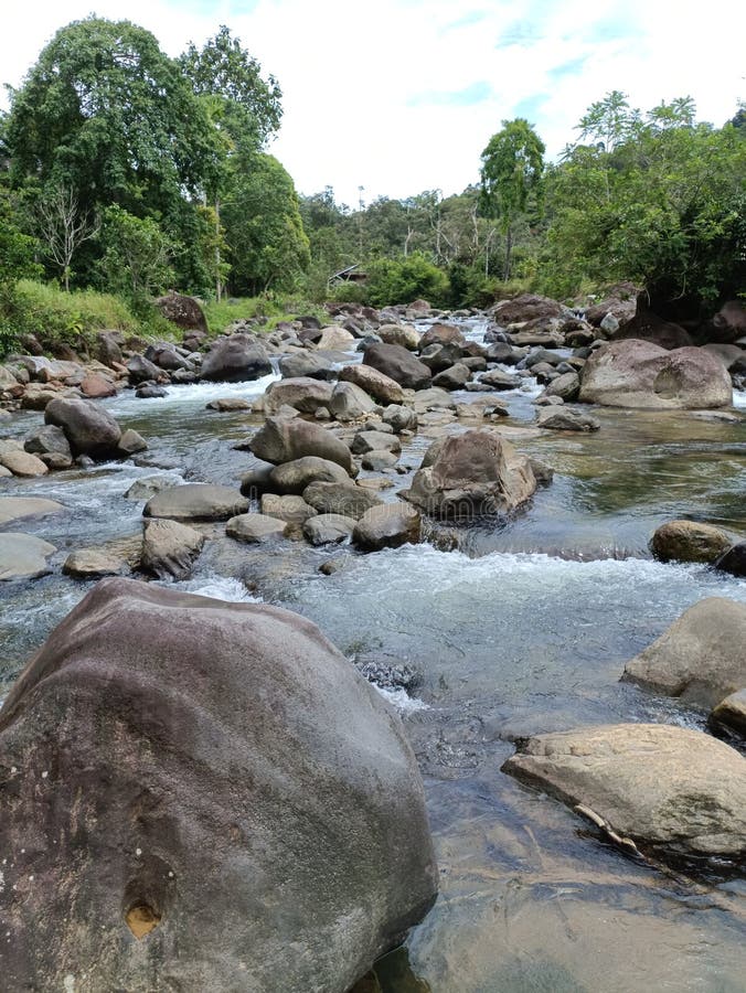 Photo of Flowing River and Rocks in the Forest Stock Image - Image of ...