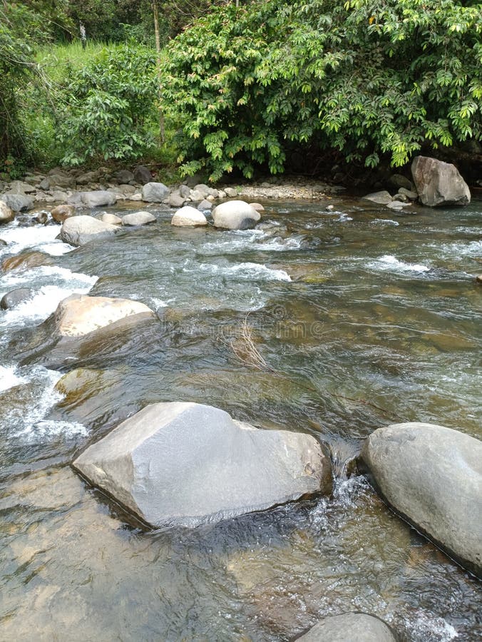 Photo of Flowing River and Rocks in the Forest Stock Image - Image of ...