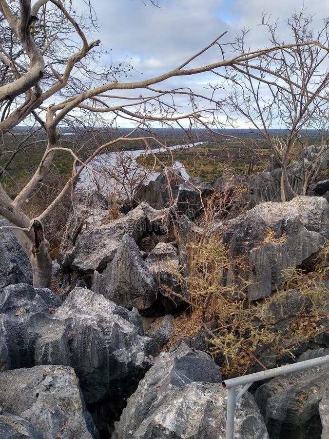 Photo of a Forest with River and Rocks Photography Stock Image - Image ...