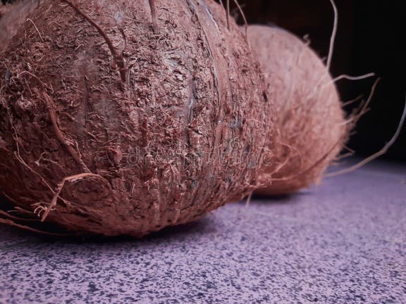 Photo of Four Old Coconuts on the Tiled Floor Stock Photo - Image of ...