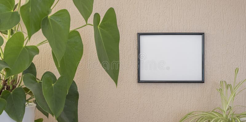 Photo Frame with Empty Space.To Write a Message. Stock Image - Image of ...