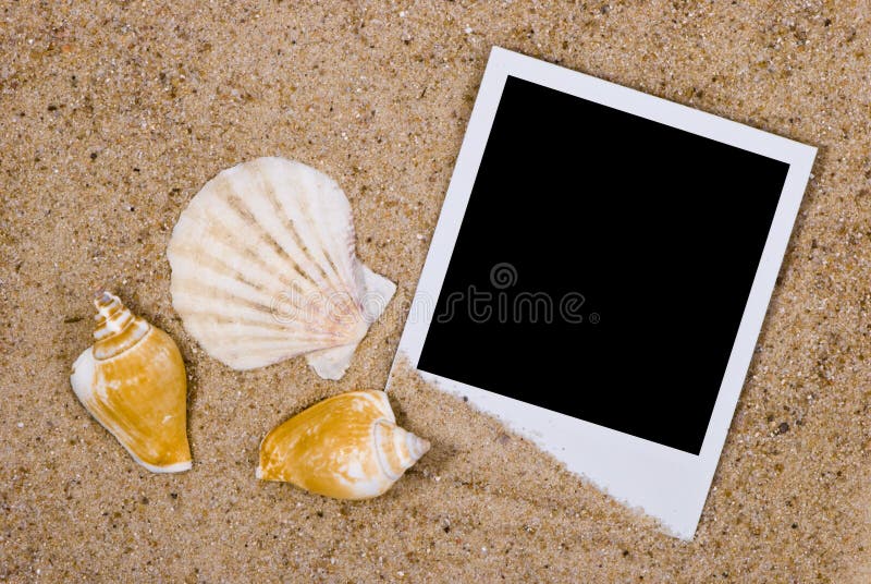 Photo Frame with Sea Shells on Sand Background Stock Image - Image of ...