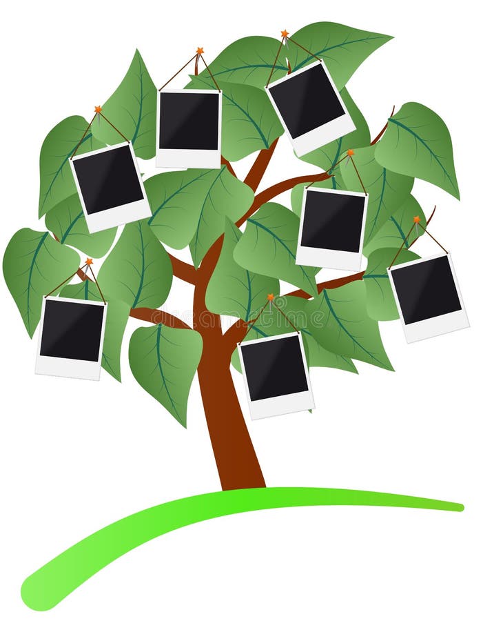Photo frame tree stock vector. Illustration of snapshot - 25039883