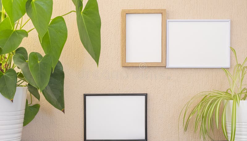 Photo Frames on a Wall in an Interior with Empty Space. Stock Image ...