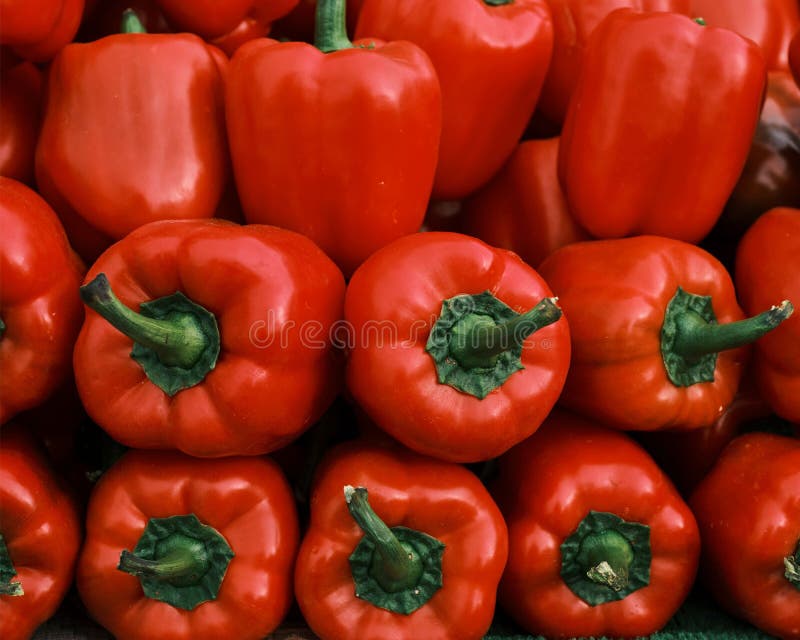 Fresh Red Bell Pepper Ready To Sell Stock Image - Image of food ...