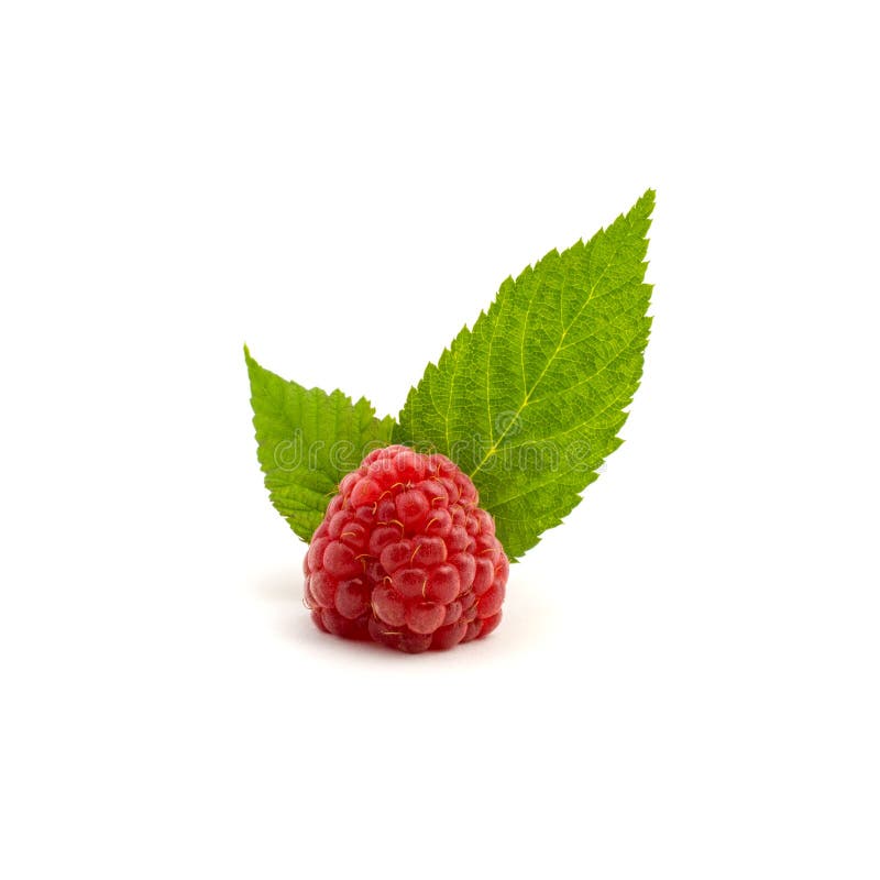 Photo of Fresh Red Raspberry with Leaves Isolated on White Background ...