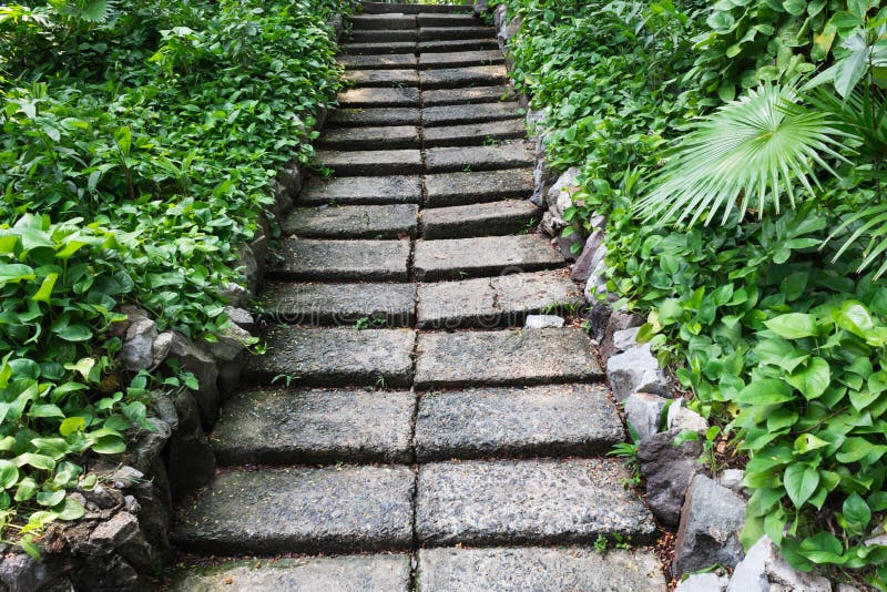 Garden passage stock photo. Image of grass, stone, park - 29722500