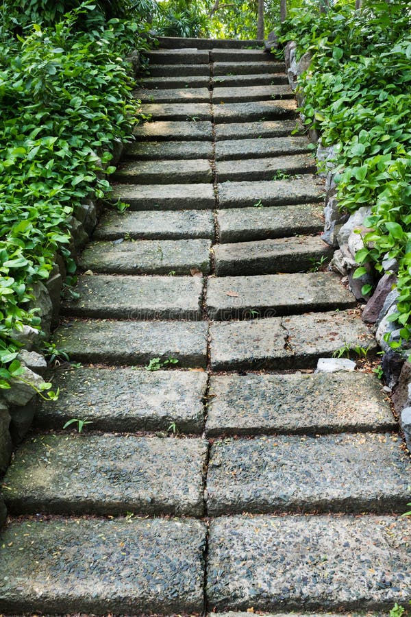 Garden passage stock photo. Image of pasture, path, botanical - 29722480