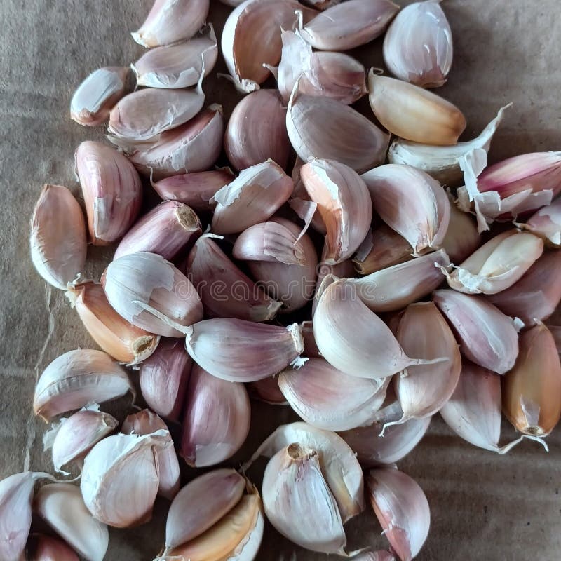 Photo of Garlic Cloves Arranged in Several Cloves Stock Image - Image ...