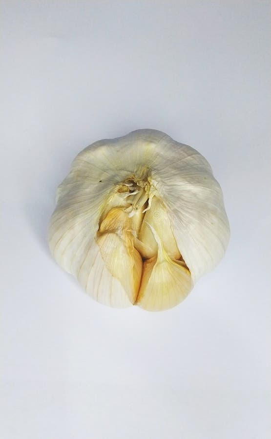 Photo of Garlic on White Paper Stock Photo - Image of ingredient ...
