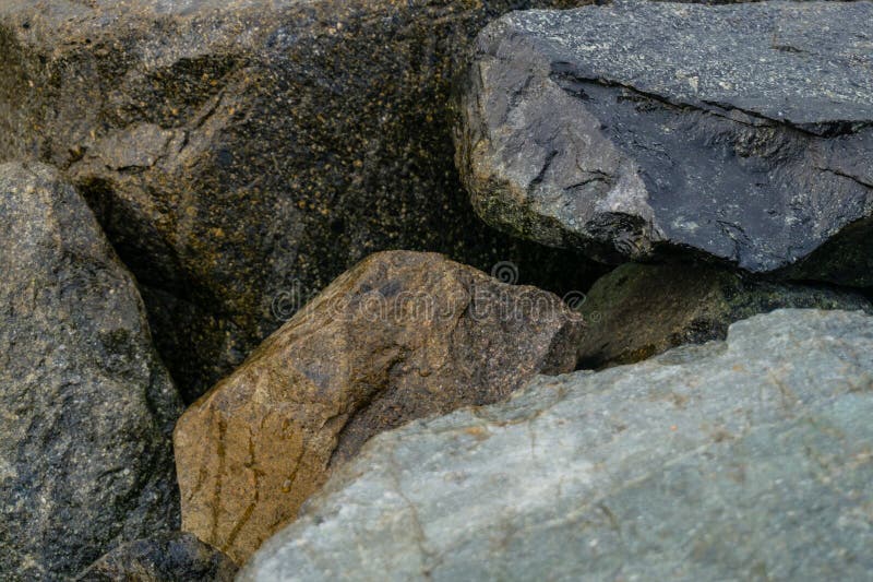 Photo of Granite Rocks on the Beach Stock Image - Image of rocks ...