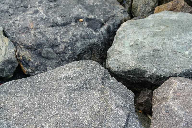 Photo of Granite Rocks on the Beach, Nature, Rocks Background Stock ...
