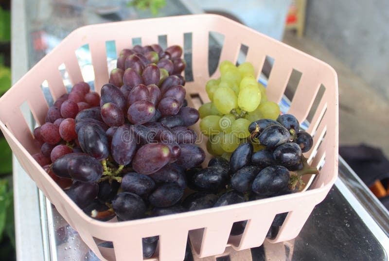 Photo of Grapes or Vitis Vinifera L Stock Image - Image of agriculture ...