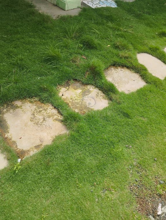 Photo of Grass with Four Foot Steps Stock Image - Image of four, foot ...