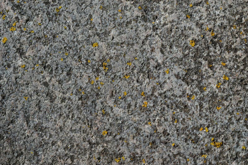 A gray rough stone texture stock photo. Image of nature - 121628436