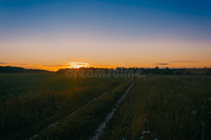 Photo Of Green Grass Field During Golden Hours Picture. Image: 109920806