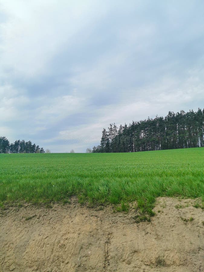 Photo of Green Meadow, Trees and the Edge of Visible Clay Stock Image ...