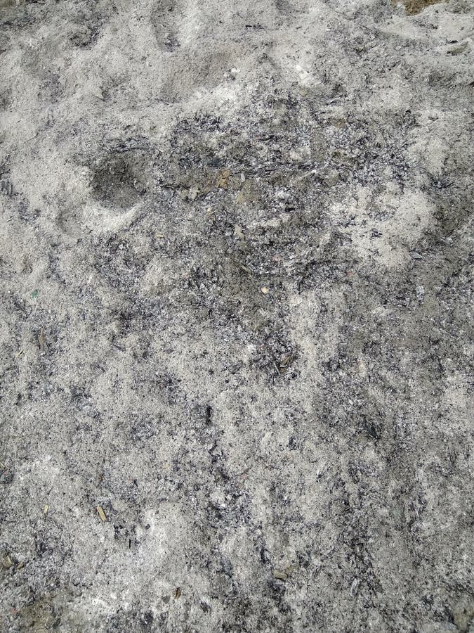 Grey Sand Texture on the Shore Stock Image - Image of gray, grey: 149321683