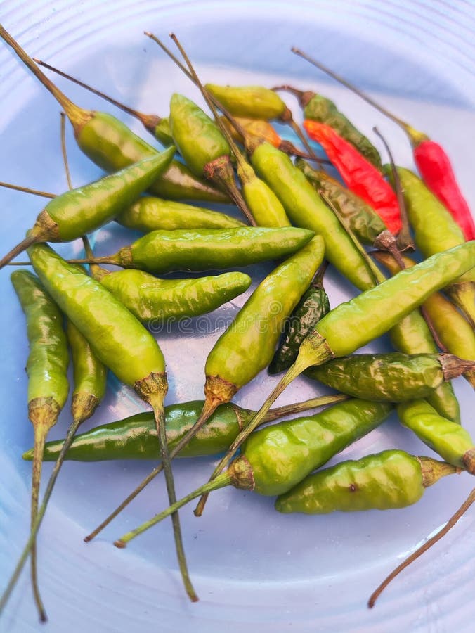The Photo of Group Cayenne Paper (cabai Rawit) Stock Photo - Image of ...