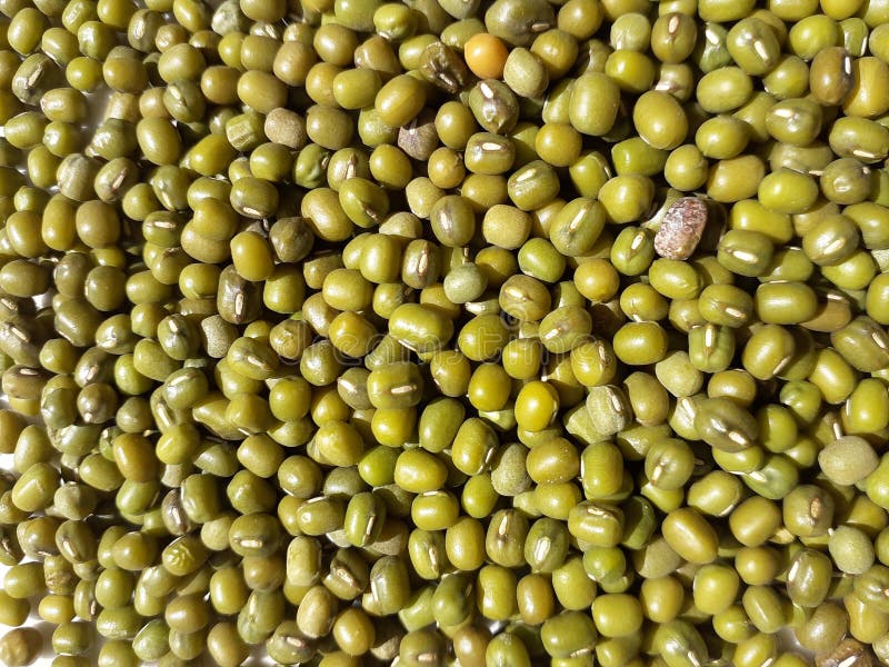 Photo of a Group of Green Beans during the Day Stock Photo - Image of ...