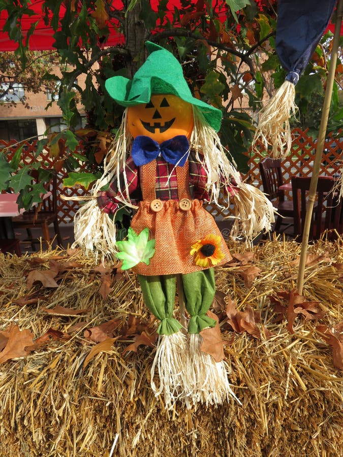 Halloween Scarecrow Witch in October Stock Image - Image of witch ...