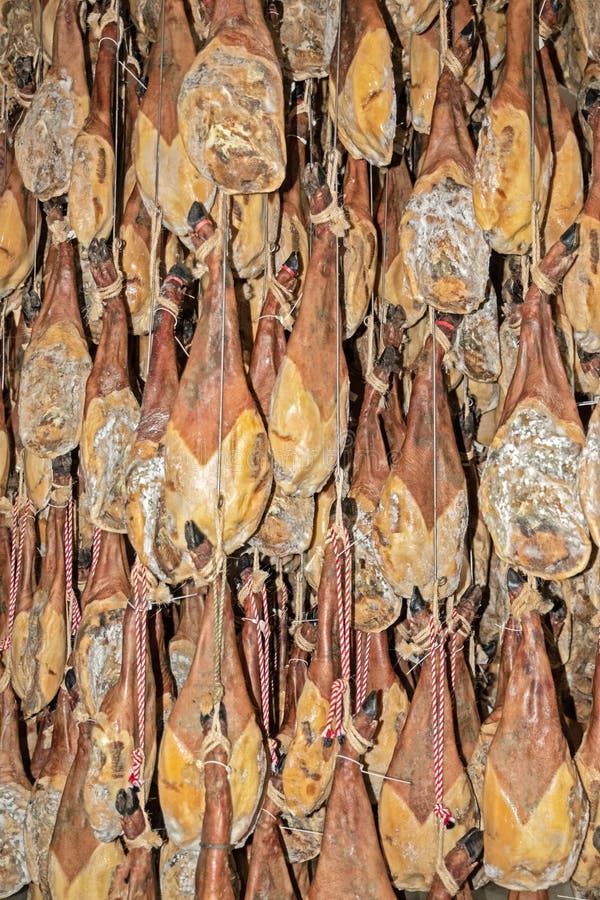 Photo of Hams Hanging Vertically while Curing Stock Image - Image of ...