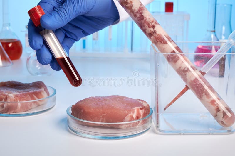 Photo of Hand Blood Test Meat Petri Lab Stock Image - Image of grown ...