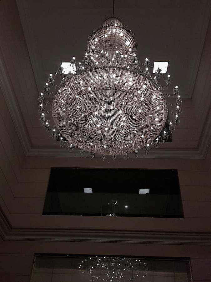 Looking Ossam Stock Photos - Free & Royalty-Free Stock Photos from ...