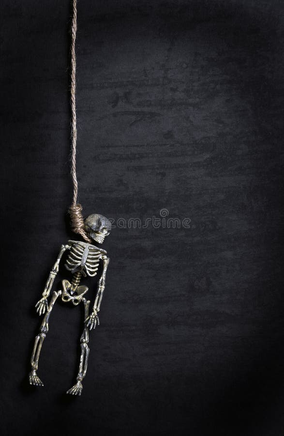 Photo of a Hanging Skeleton Stock Photo - Image of anatomy, vintage ...