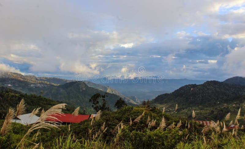 Photo of Hills in the Mountains of Central Papua Stock Image - Image of ...