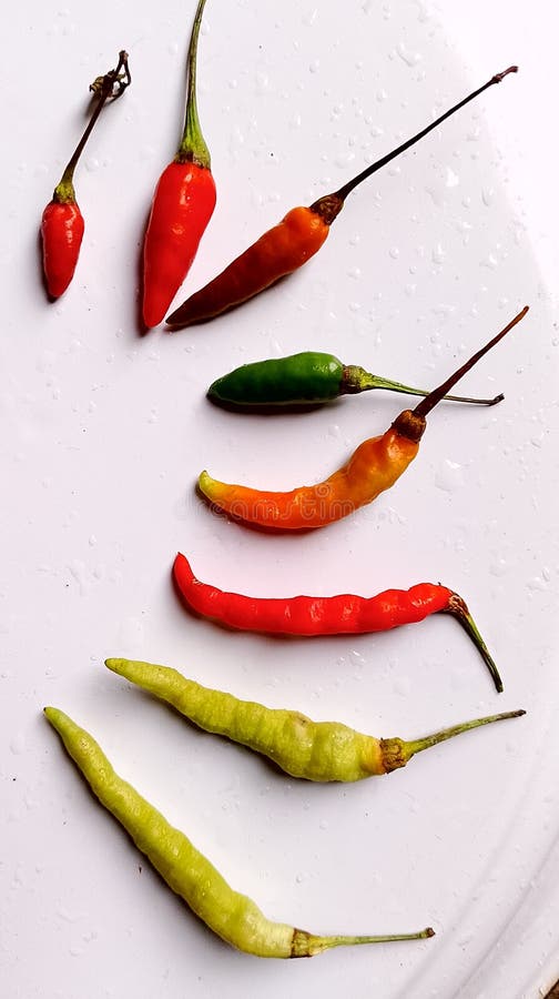 Photo of Hot Chilies As a Cooking Ingredient Stock Image - Image of ...