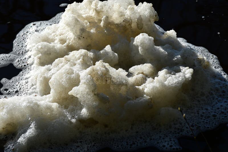 Close Up Foam Floating in the Water at Interstate State Park in ...