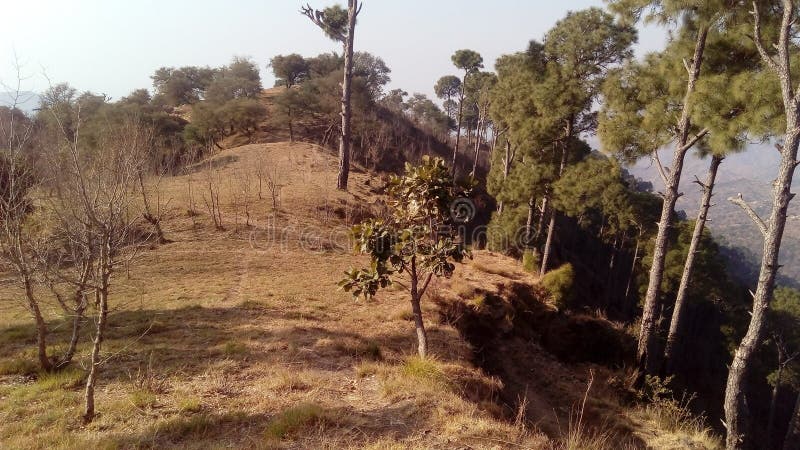 Netur Stock Photos - Free & Royalty-Free Stock Photos from Dreamstime