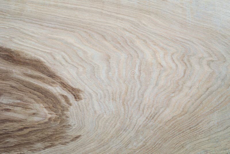 Photo of Light Coloured Oak Texture, Creative Background Stock Image ...