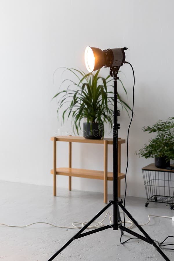Photo Light in a Photo Studio. One Light Source Stock Image - Image of ...