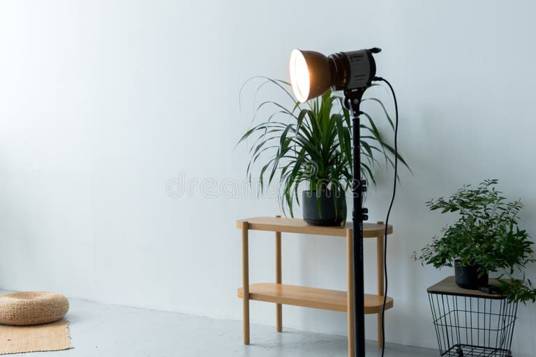 Photo Light in a Photo Studio. One Light Source Stock Image - Image of ...