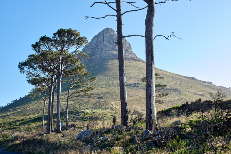 A Photo of Lions Head and Surroundings Stock Image - Image of outdoor ...