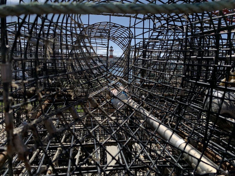 Lobster Trap Maze stock image. Image of lobster, perspective - 353447885