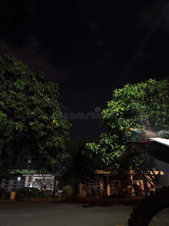 Photo looks at night stock image. Image of tree, screenshot - 265639251