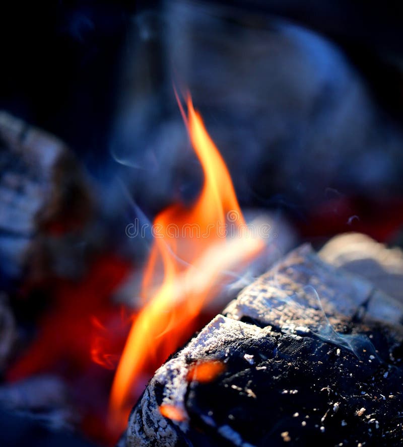 Photo Macro Flame of Fire among the Wood Stock Image - Image of ignite ...