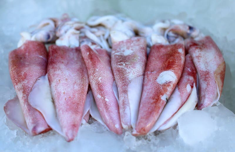 Photo macro tasty squid stock photo. Image of delicious - 85019950