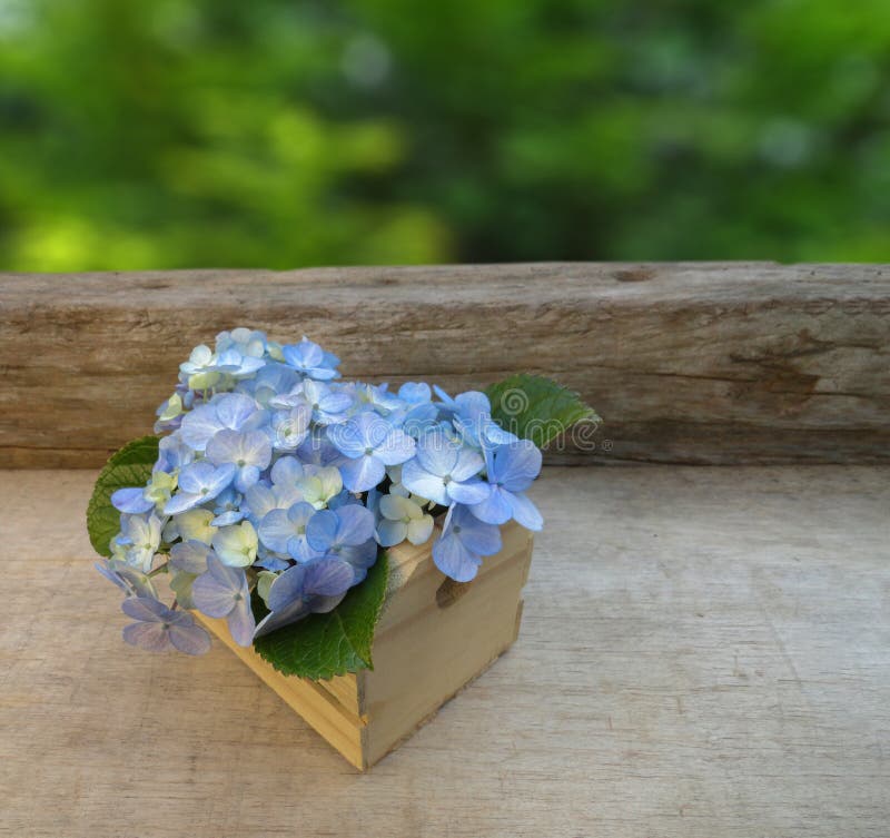 Small Bouquet of Hydrangeas in Mini Wooden Crate on Rustic Wooden Table ...