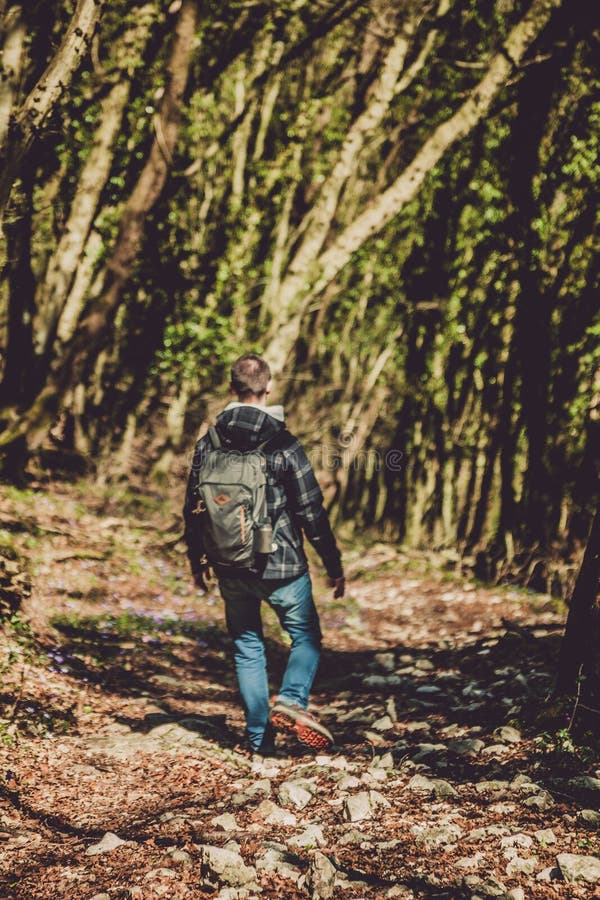Photo Of Man Walking In The Forest Picture. Image: 116049750