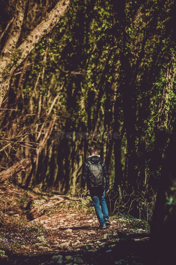 Photo Of Man Walking In The Forest Picture. Image: 116049779