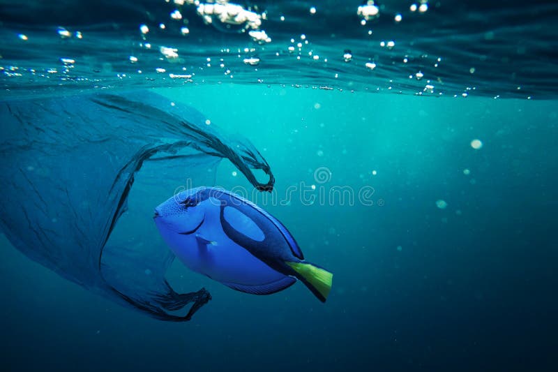 Great Pacific Garbage Patch Fish