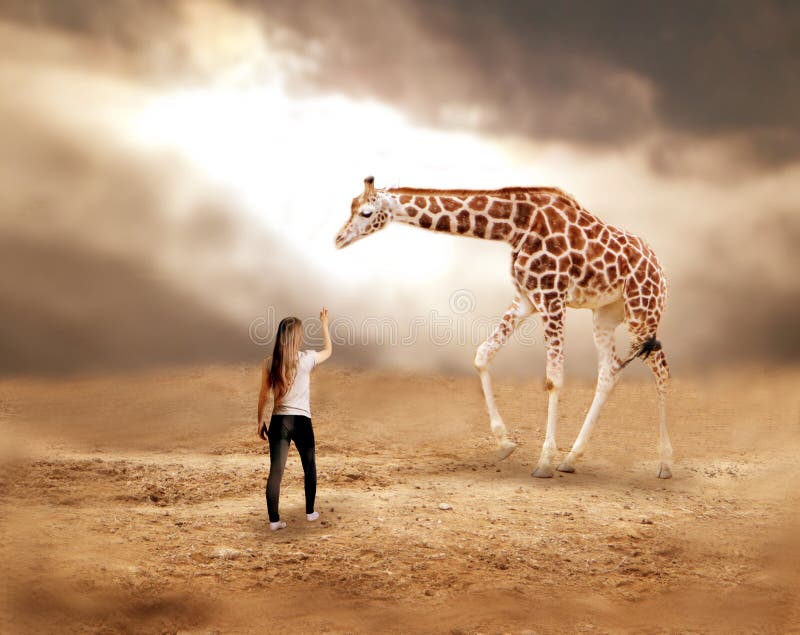 Woman with giraffe stock image. Image of manipulation - 116270263