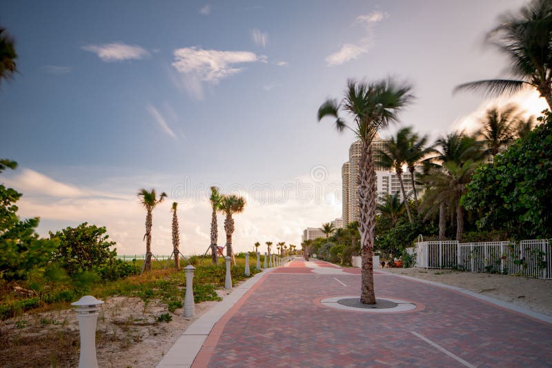 Miami Greenway Pedestrian Path Photo Stock Photo - Image of line ...