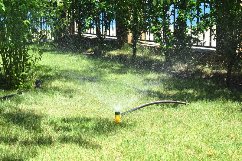 Modern Automatic Sprayer for Lawn Watering Stock Photo - Image of ...