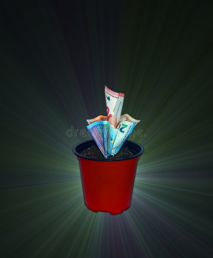 Money in a pot stock photo. Image of sunny, strong, economy - 140135614